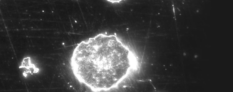 正置金相显微镜 DM4M & 6M-拓普思实验室系统